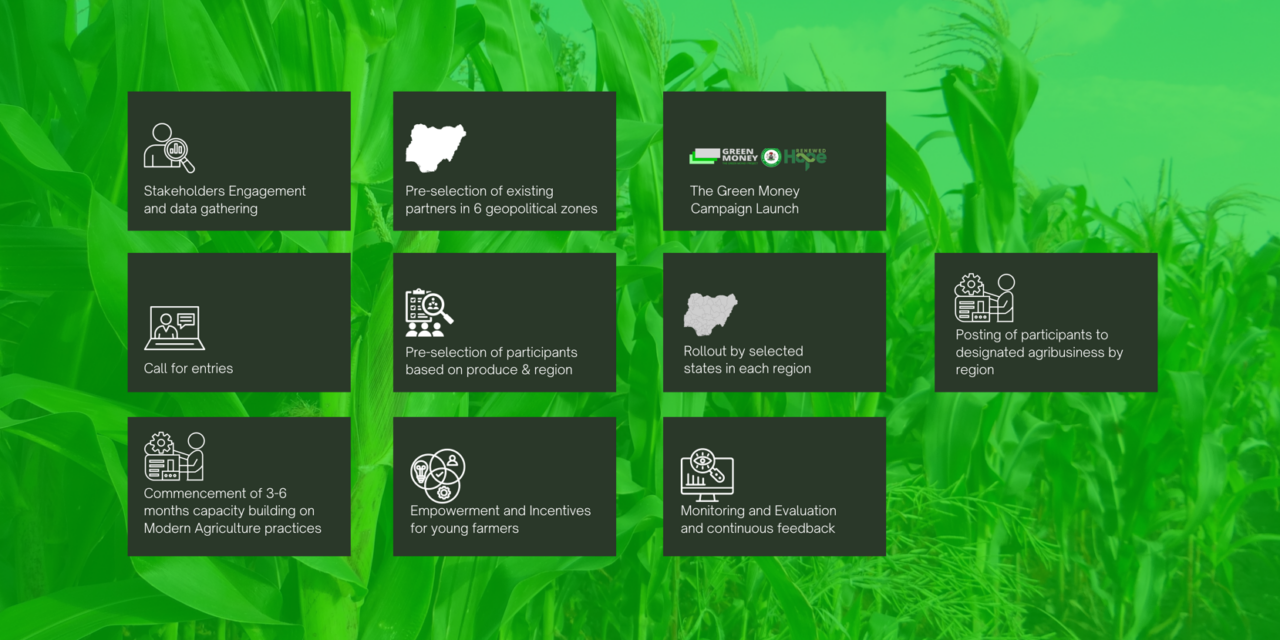 GMP STRATEGY - The Green Money Project